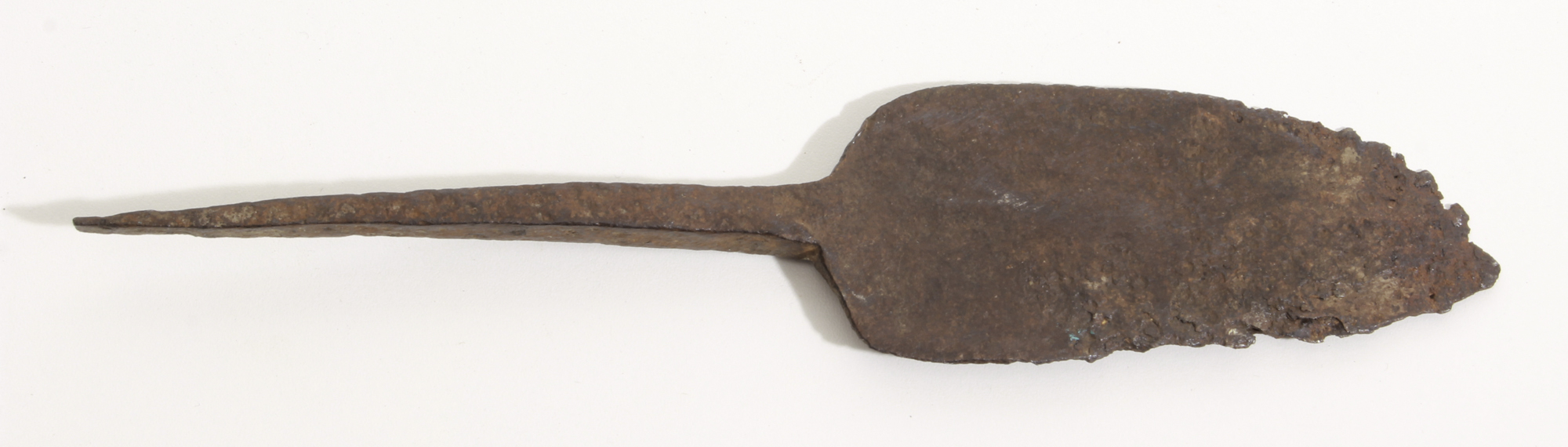 Pole Arms & Armour - Kunst- und Waffenkammer